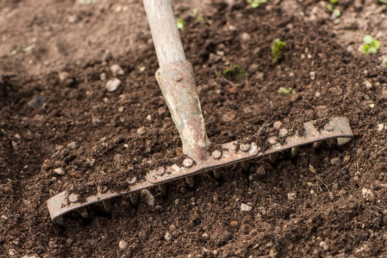 Bodemstructuur verbeteren? Zo doe je dat! | ECOstyle