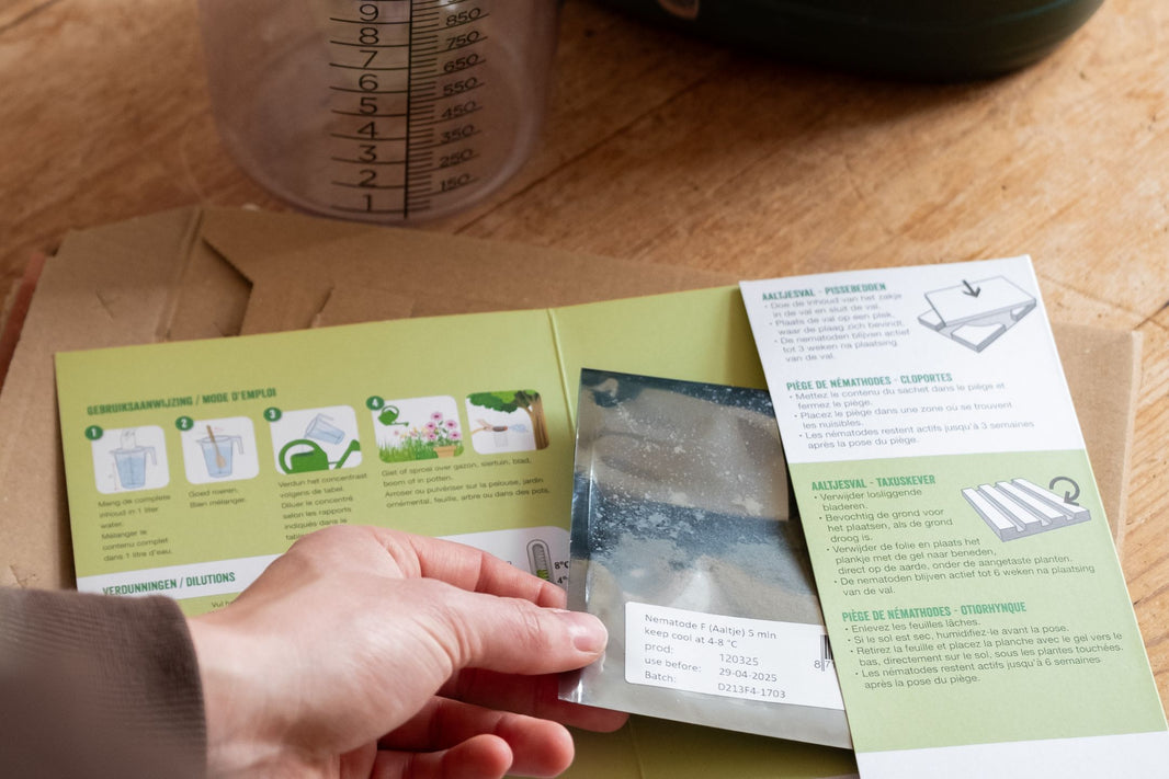 Alles over aaltjes inzetten tegen plagen | ECOstyle