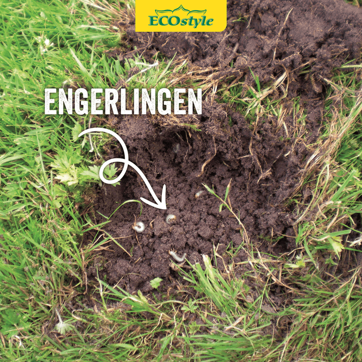 ECOstyle Aaltjes tegen engerlingen - Bestel nu online