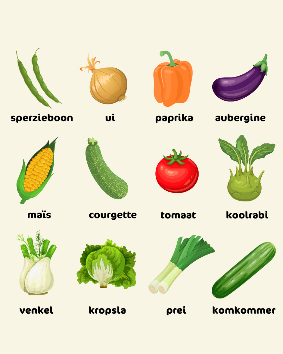 Seizoensgroenten van augustus | ECOstyle