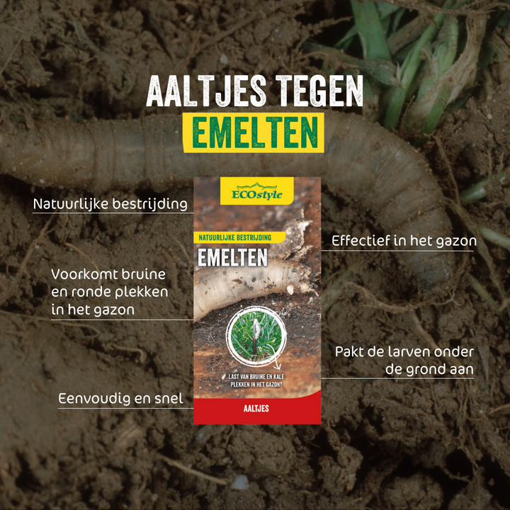 Alles over aaltjes inzetten tegen plagen | ECOstyle