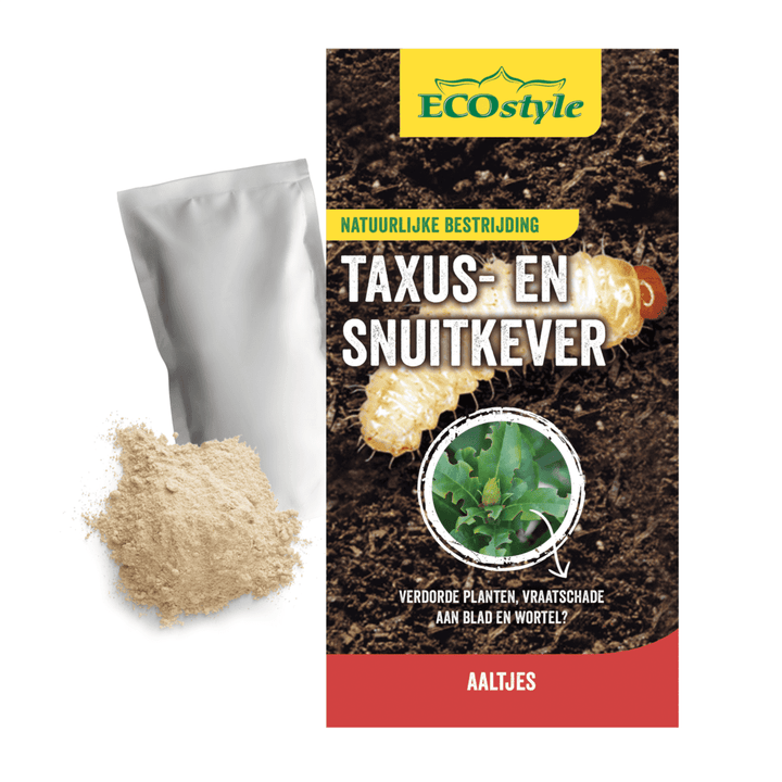 Wat is het verschil tussen een bij en een wesp? 🐝 | ECOstyle