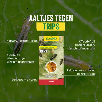 Alles over aaltjes inzetten tegen plagen | ECOstyle