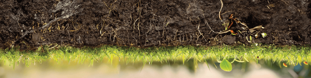 Bodemstructuur van een gezonde bodem | ECOstyle
