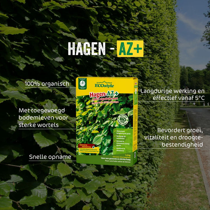 Tijm snoeien: wanneer en hoe voor een gezonde plant | ECOstyle