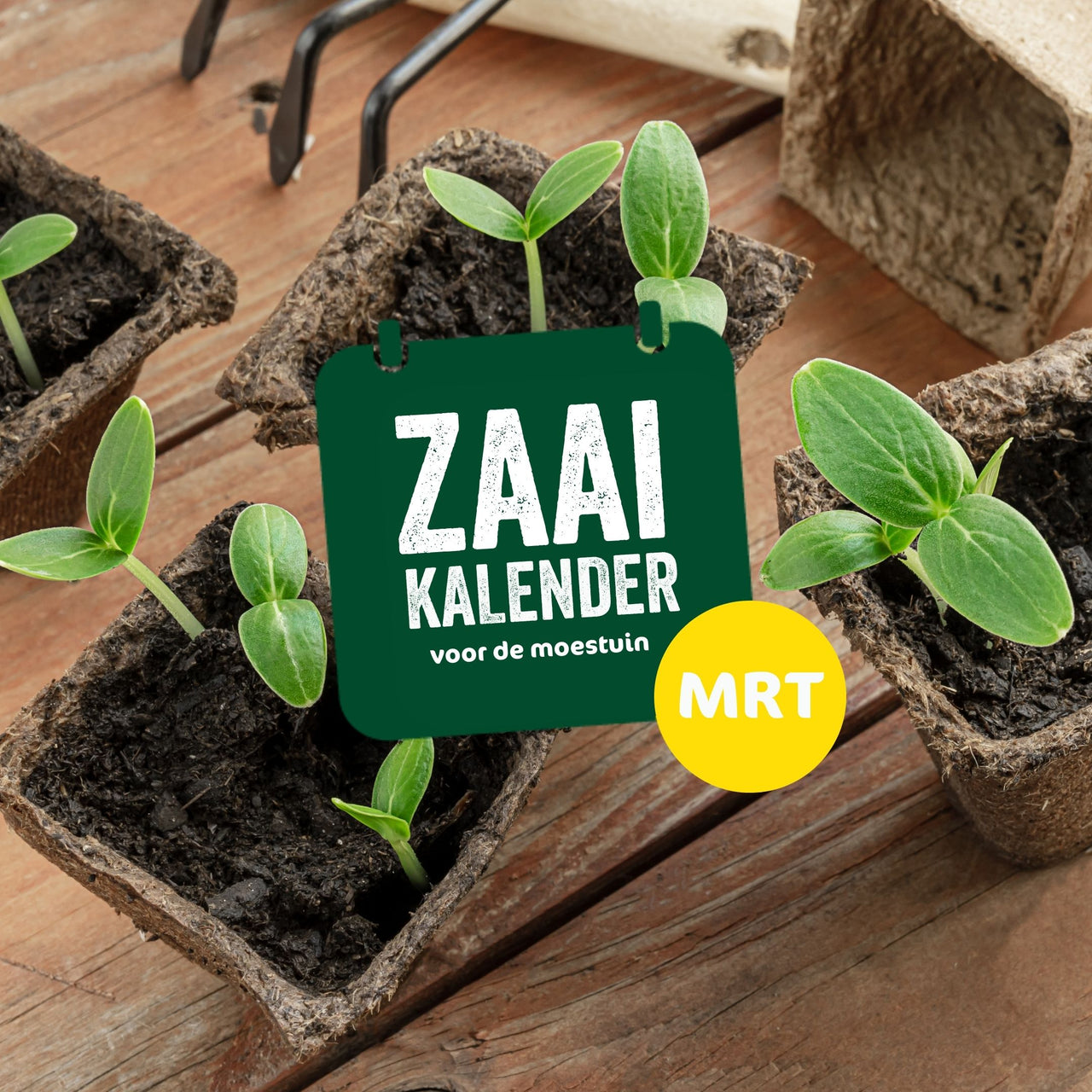 Moestuinkalender maart: zaaien en oogsten | ECOstyle