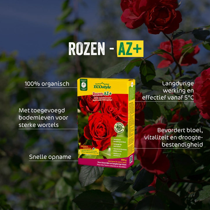 Rozen stekken: zo ga je aan de slag 🌹 | ECOstyle
