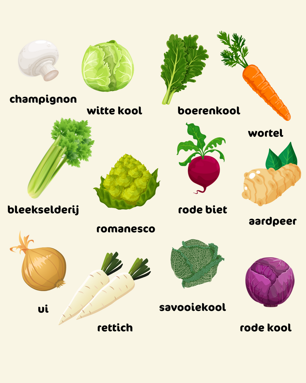 Seizoensgroenten van januari | ECOstyle 🥦