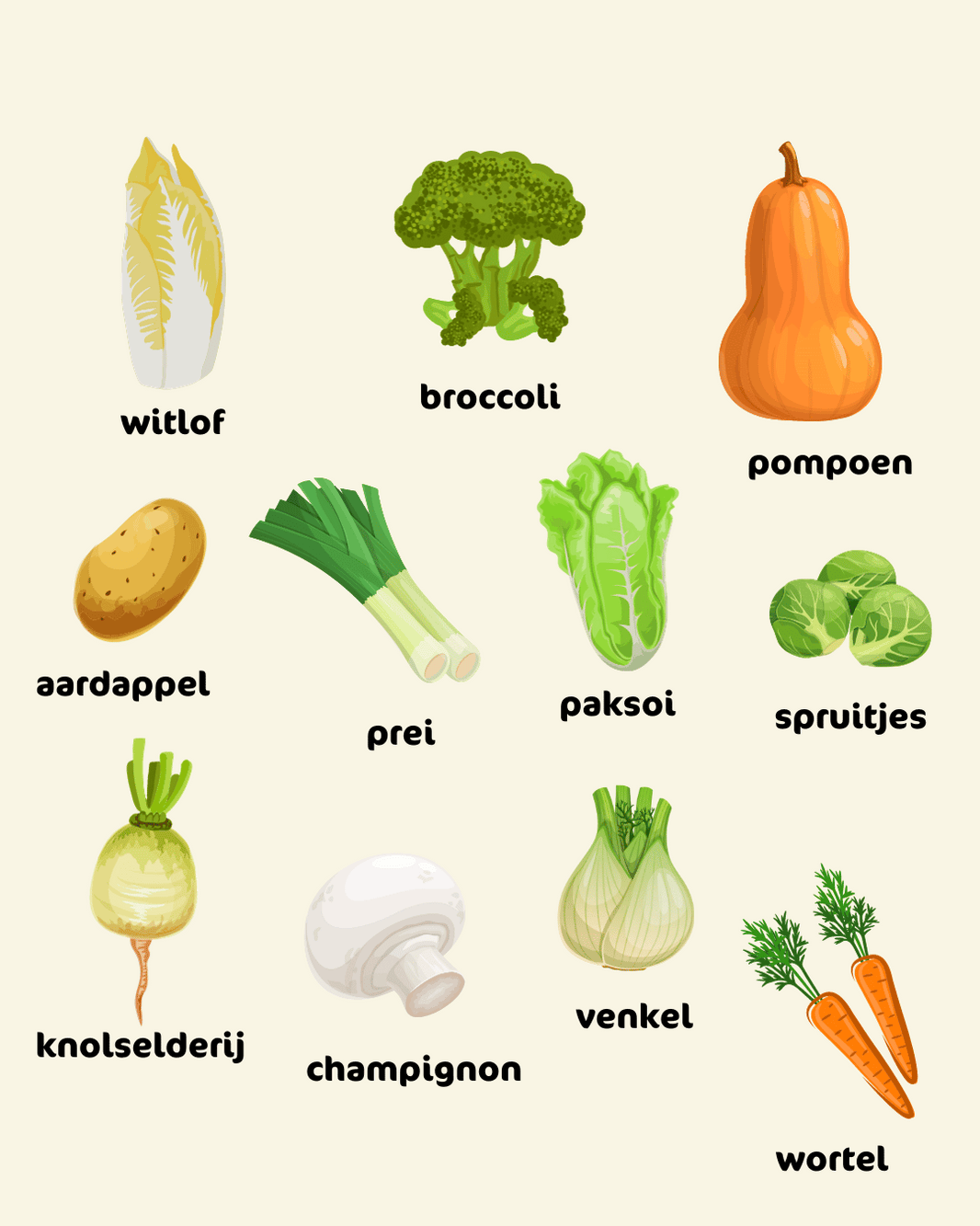 Seizoensgroenten van oktober | ECOstyle 🥦