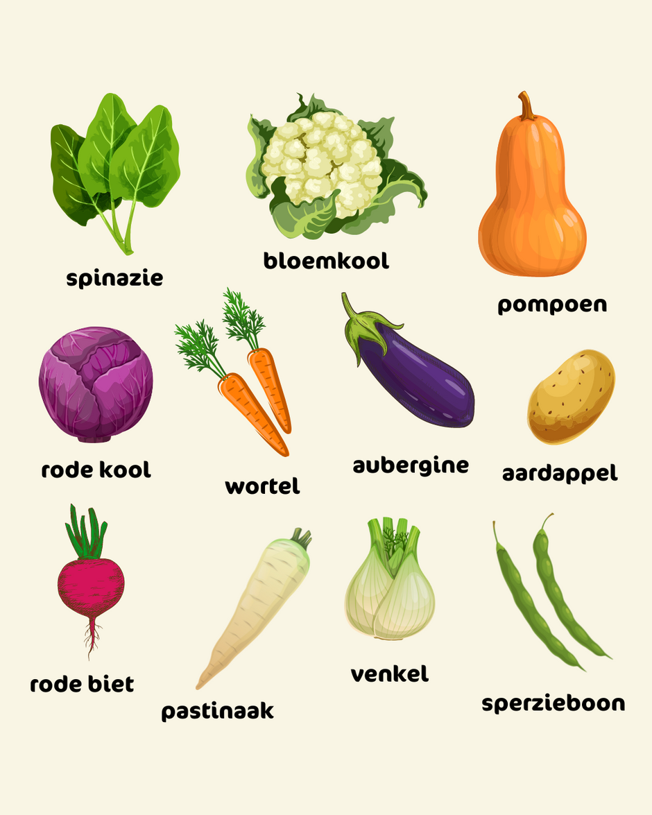 Seizoensgroenten van september | ECOstyle 🍅