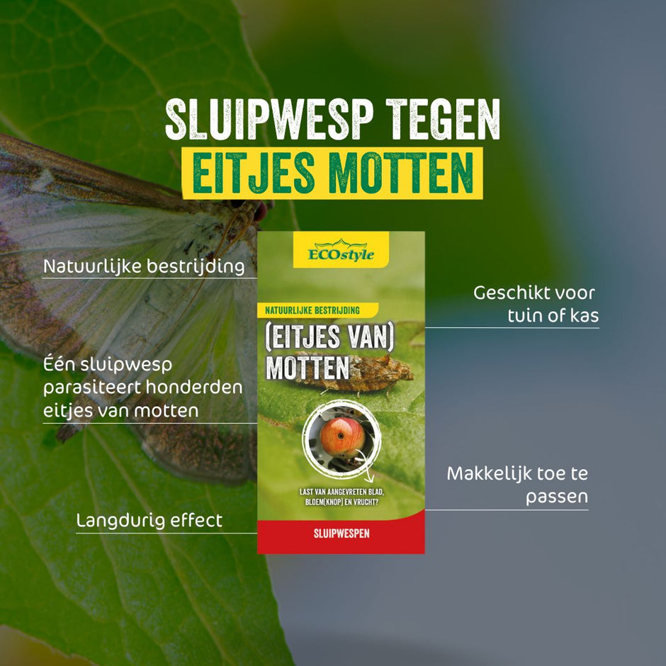 ECOstyle Sluipwesp tegen eitjes van motten - Bestel nu online
