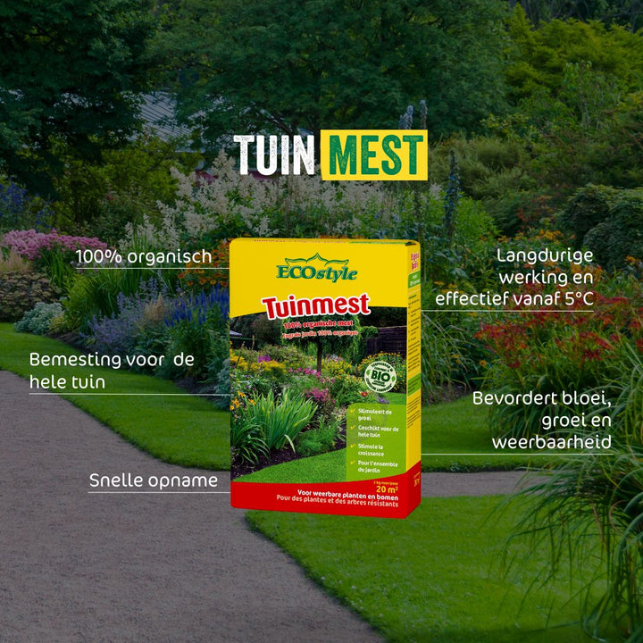 Tijm snoeien: wanneer en hoe voor een gezonde plant | ECOstyle