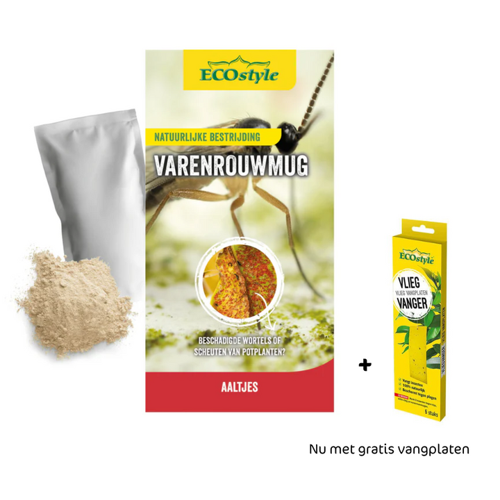 De beste tips tegen kleine vliegjes in huis | ECOstyle 🪰