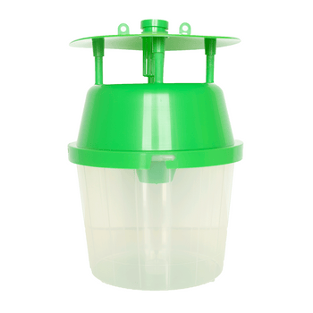 Meelmotten bestrijden: wat is het en hoe kom je er vanaf? | ECOstyle